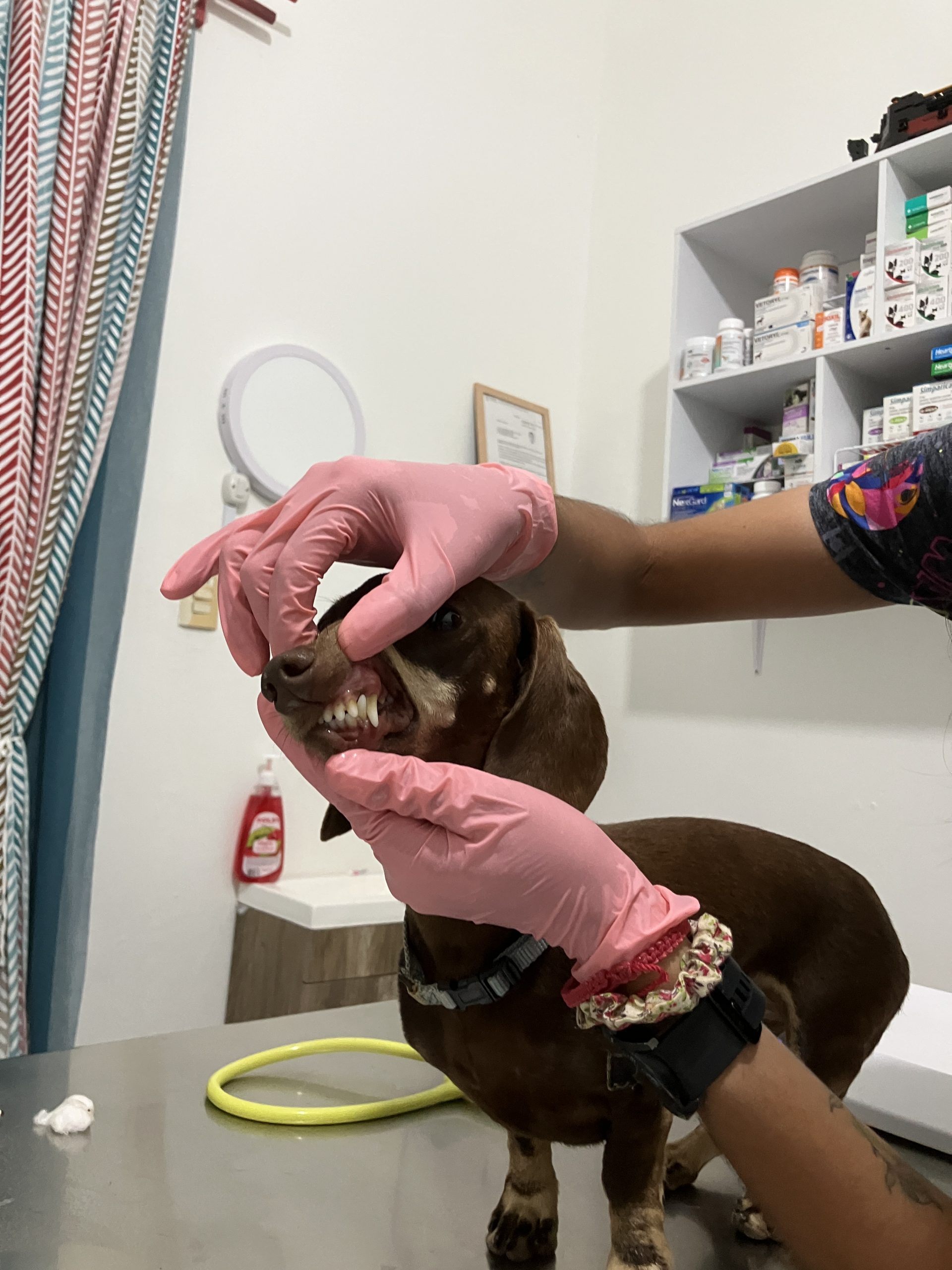 IMG_8312 – 5C's Que Pasa